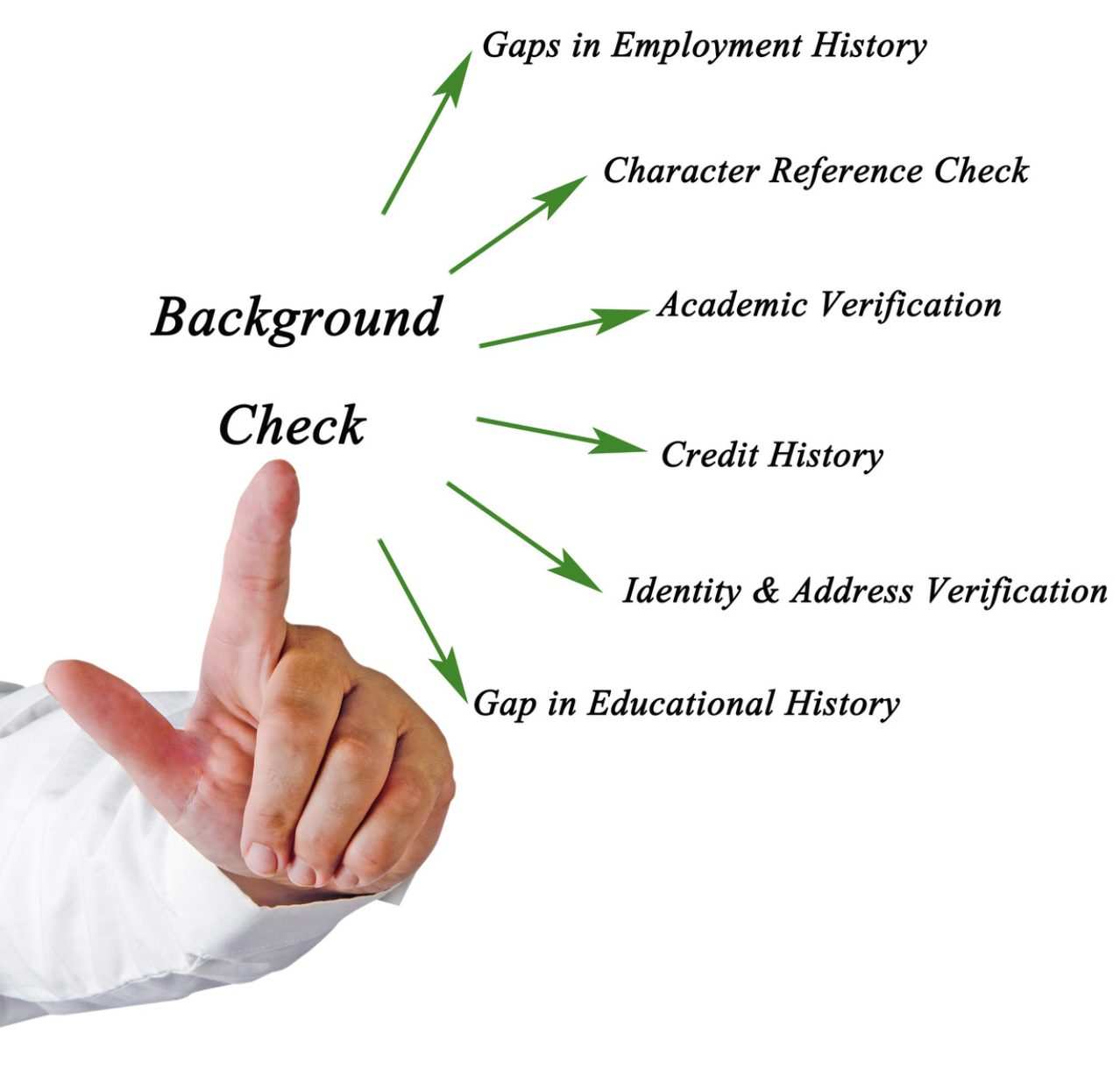 Executive Background Check Company | Contact Silverseal